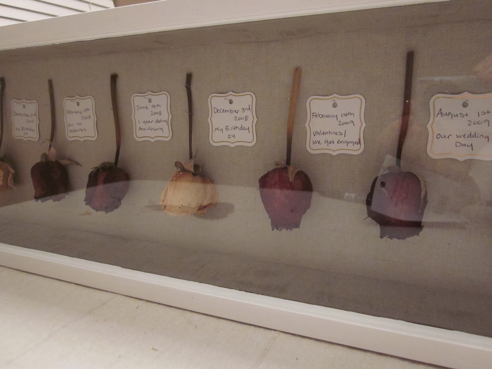 Queen B Creates: Rose Shadow Box