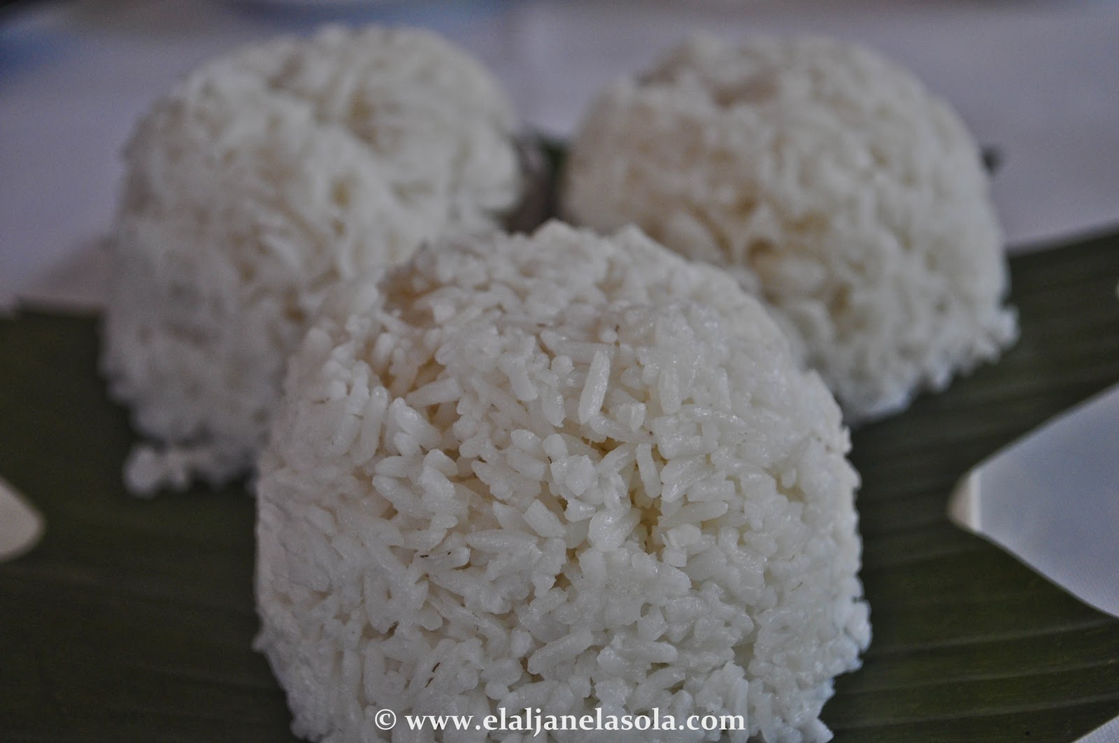 Elal Lasola Travel & Photography: Zamboanga | Curacha at Alvar Seafood ...