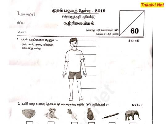 1st Standard - 2019 Quarterly Exam Question Paper (SA 60 Marks) - EVS ...