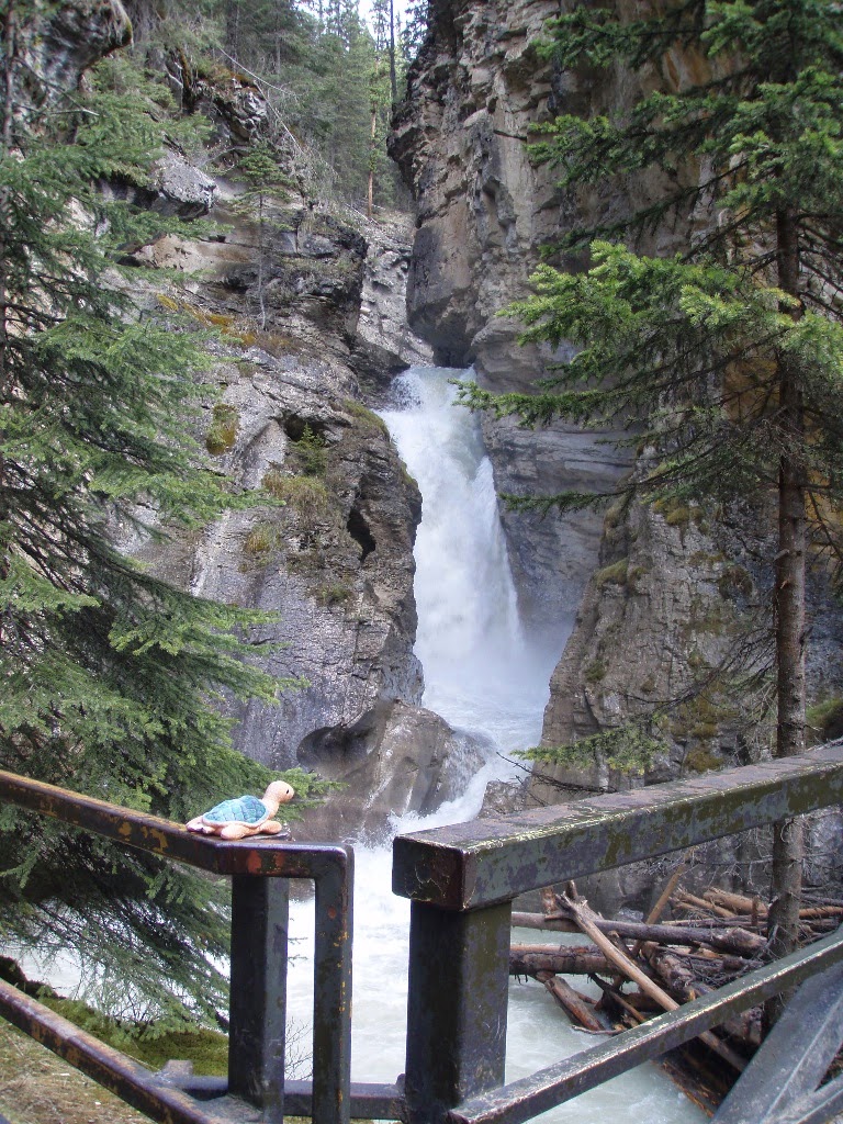 2014 - Charleston's Trailer Tripping: DAY 14-17 ~ BANFF, ALBERTA (May ...