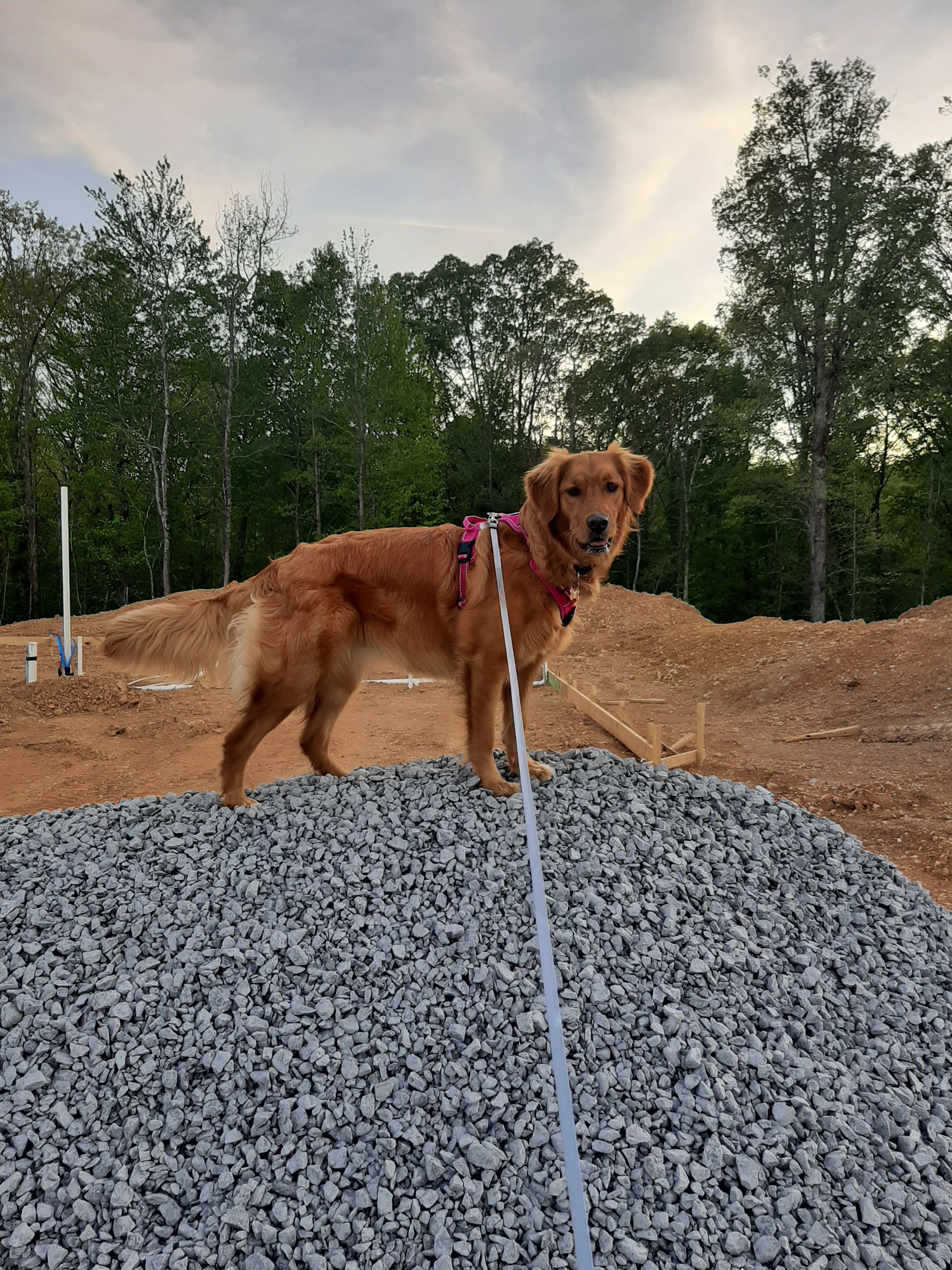 Newest Raborns on the Block!: Lucy Cove Raborn Growth Updates!