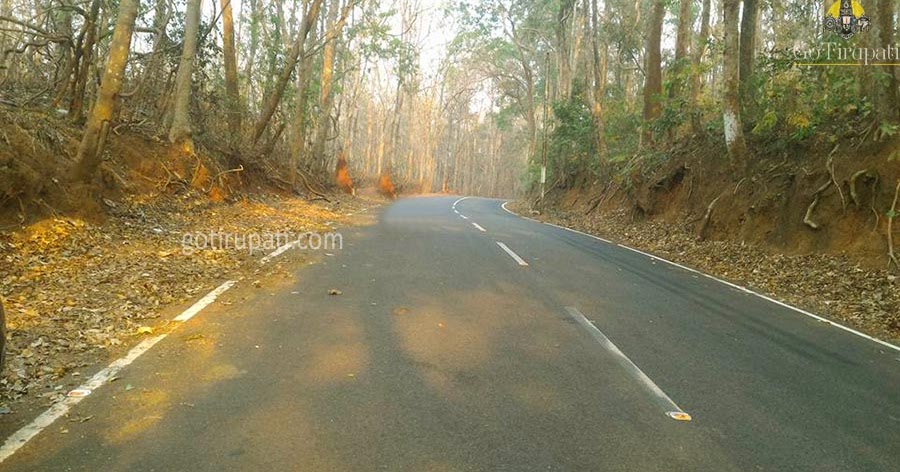 GoTirupati: maredumilli forest trip