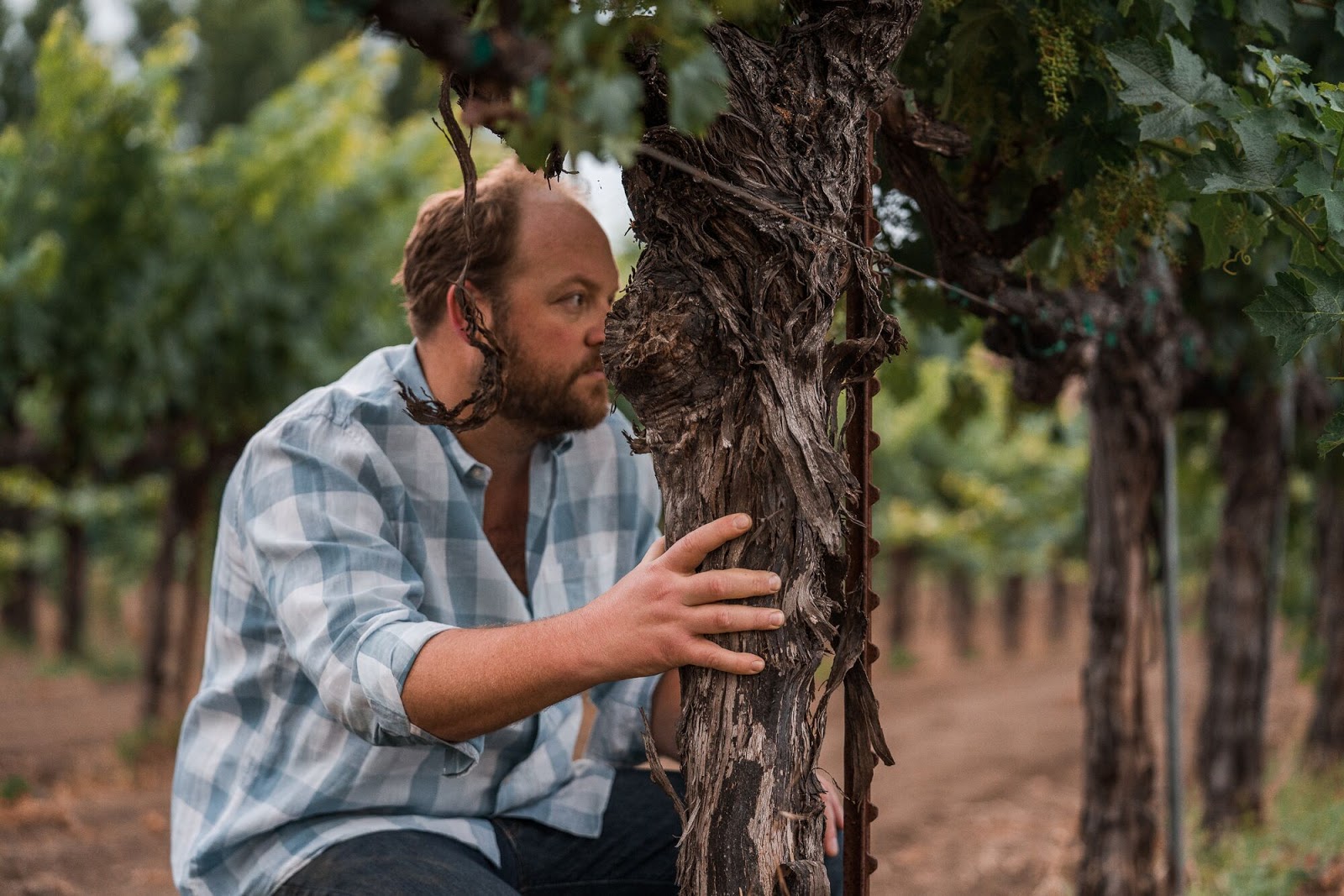 The Wine Write: A Conversation With Casey Stringer of Stringer Cellars