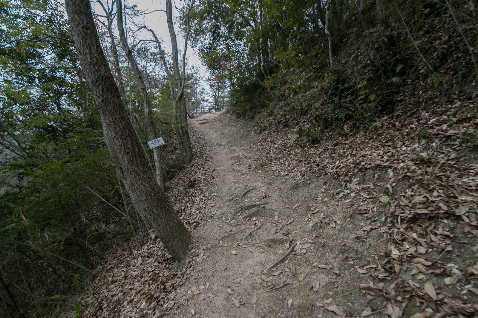Niitakayama Castle -Intellectual pillar of Mouri clan (2)- | Japan ...