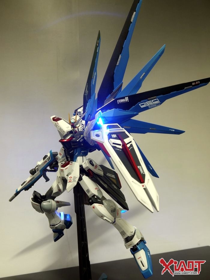 Gundam Family: MG 1/100 Freedom Gundam Custom Build with LED