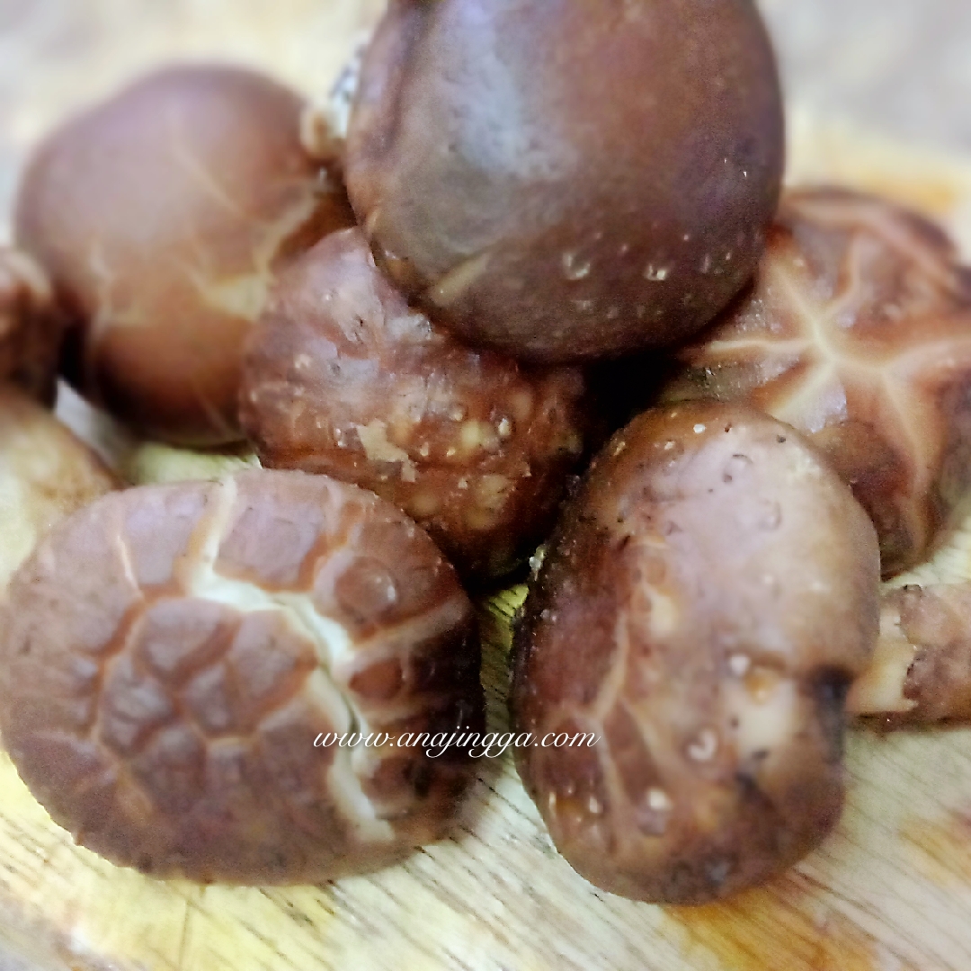 Jenis-jenis cendawan yang boleh di makan