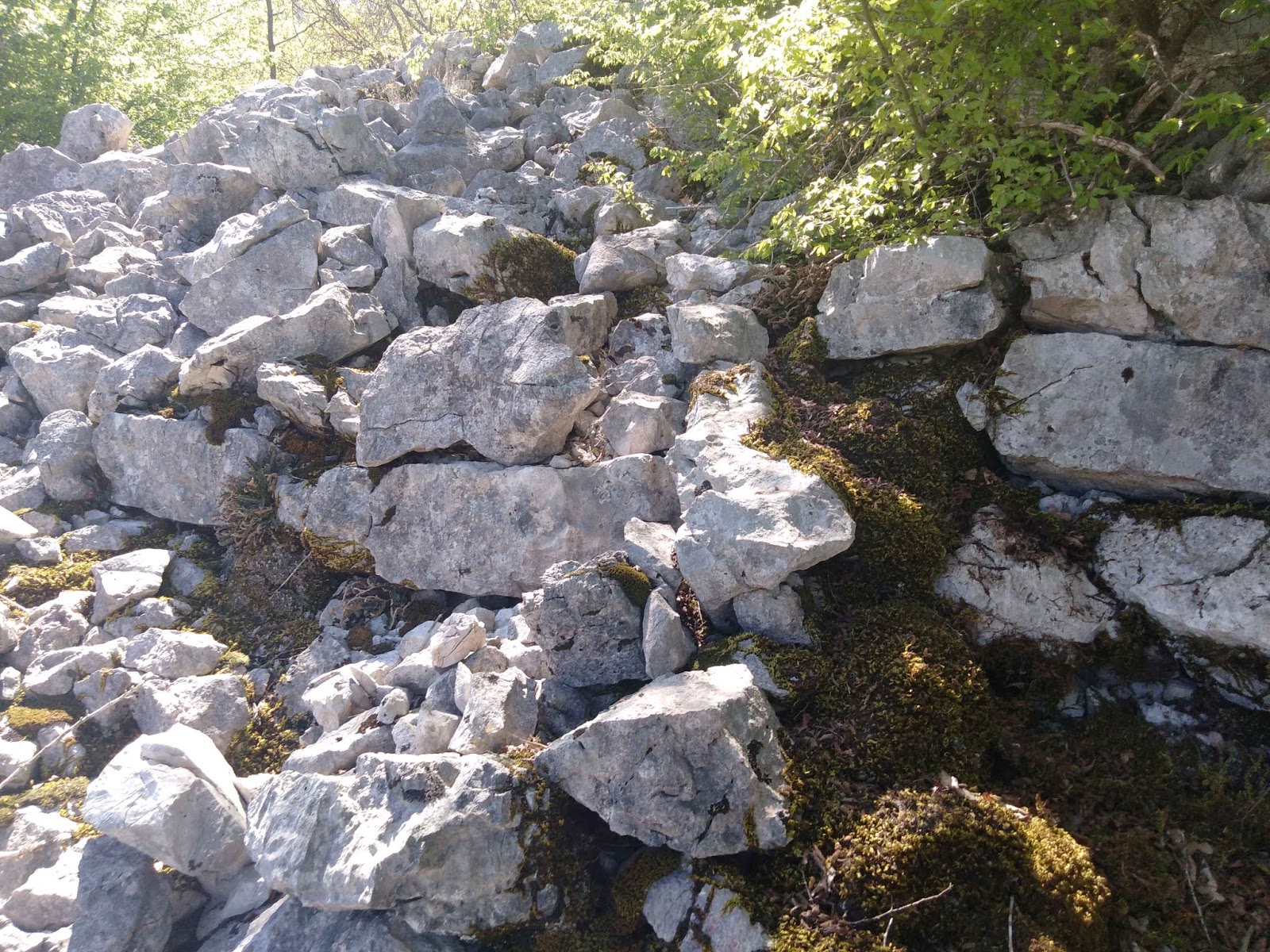 ZABORAVLJENA ILIRSKA GRADINA U GORNJIM MAMIĆIMA KOD ŠIROKOG BRIJEGA ...