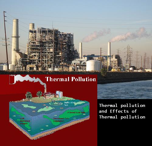 Water Pollution Effects Blog 2015: Thermal pollution and Effects of ...