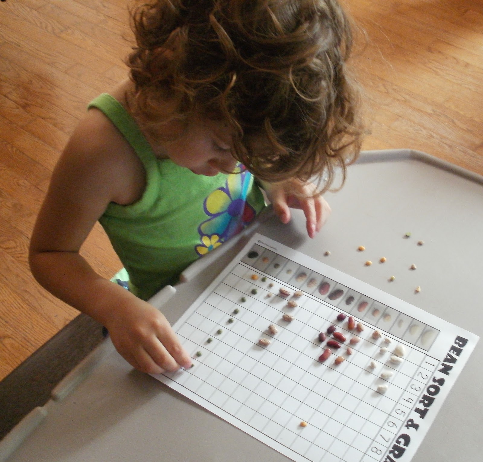 Little Stars Learning: Seeds! Seeds! Seeds! Book Activity #1 Seed Sorting