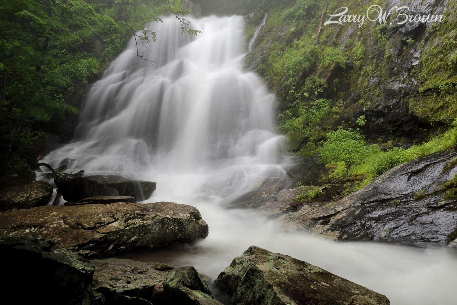 Shenandoah National Park Waterfalls Guide: Jones Run Falls