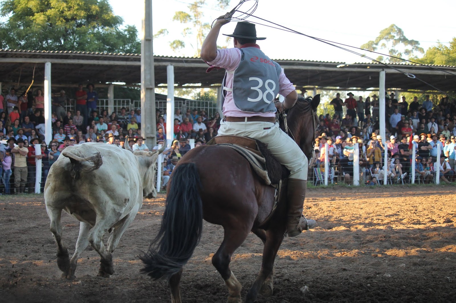 Começa o maior rodeio de equipes do Brasil - NP Expresso