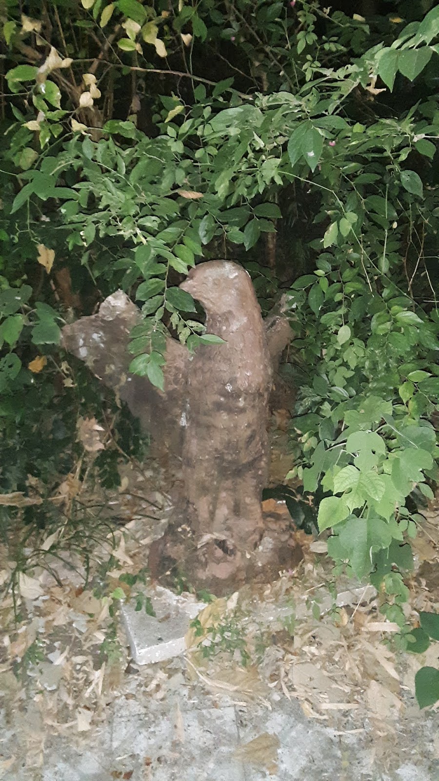 Azriel Johnson, Official Author Blog