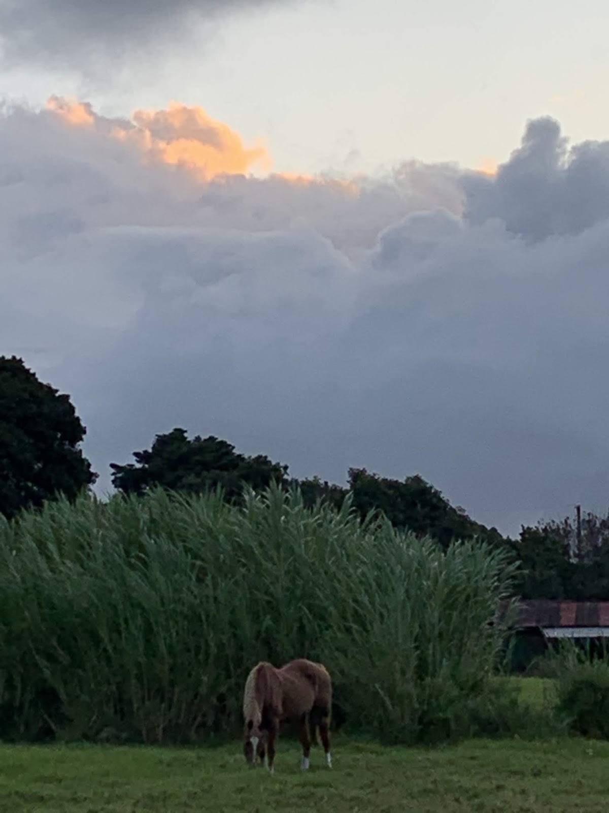 Exurban Nation: October 2019