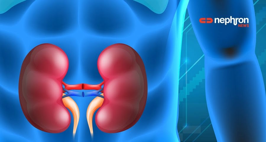 ΔΩΡΕΑ ΟΡΓΑΝΩΝ ΔΩΡΟ ΖΩΗΣ: Νεφραγγειακές παθήσεις: συμπτώματα, πρόληψη ...