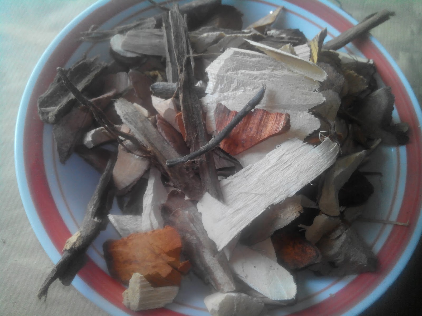 UBAT TRADISIONAL ( AKAR ASLI ): AKAR ASLI UNTUK REBUSAN