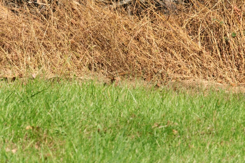 Steve Byland Nature Photography