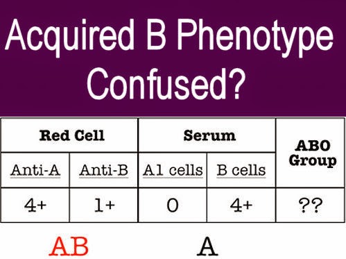 Medical Laboratory and Biomedical Science: ABO blood group system - The ...
