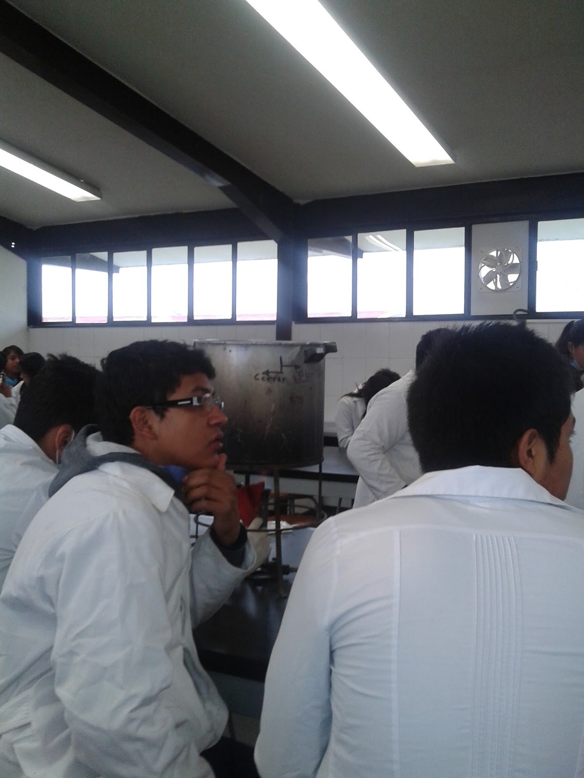 Belen Perez. Practicas CBTis 199