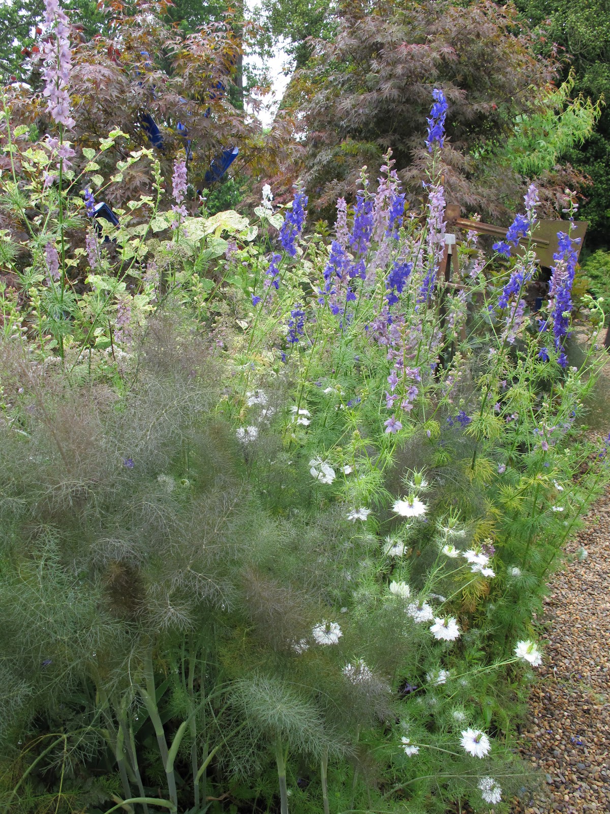 A Mello Fellow's Garden in West Asheville