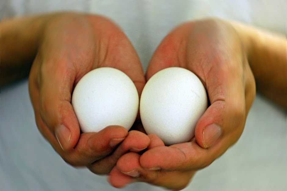 C's Delights: The Egg Story