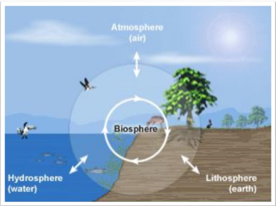 STUDENTS POINT: What is hydrosphere