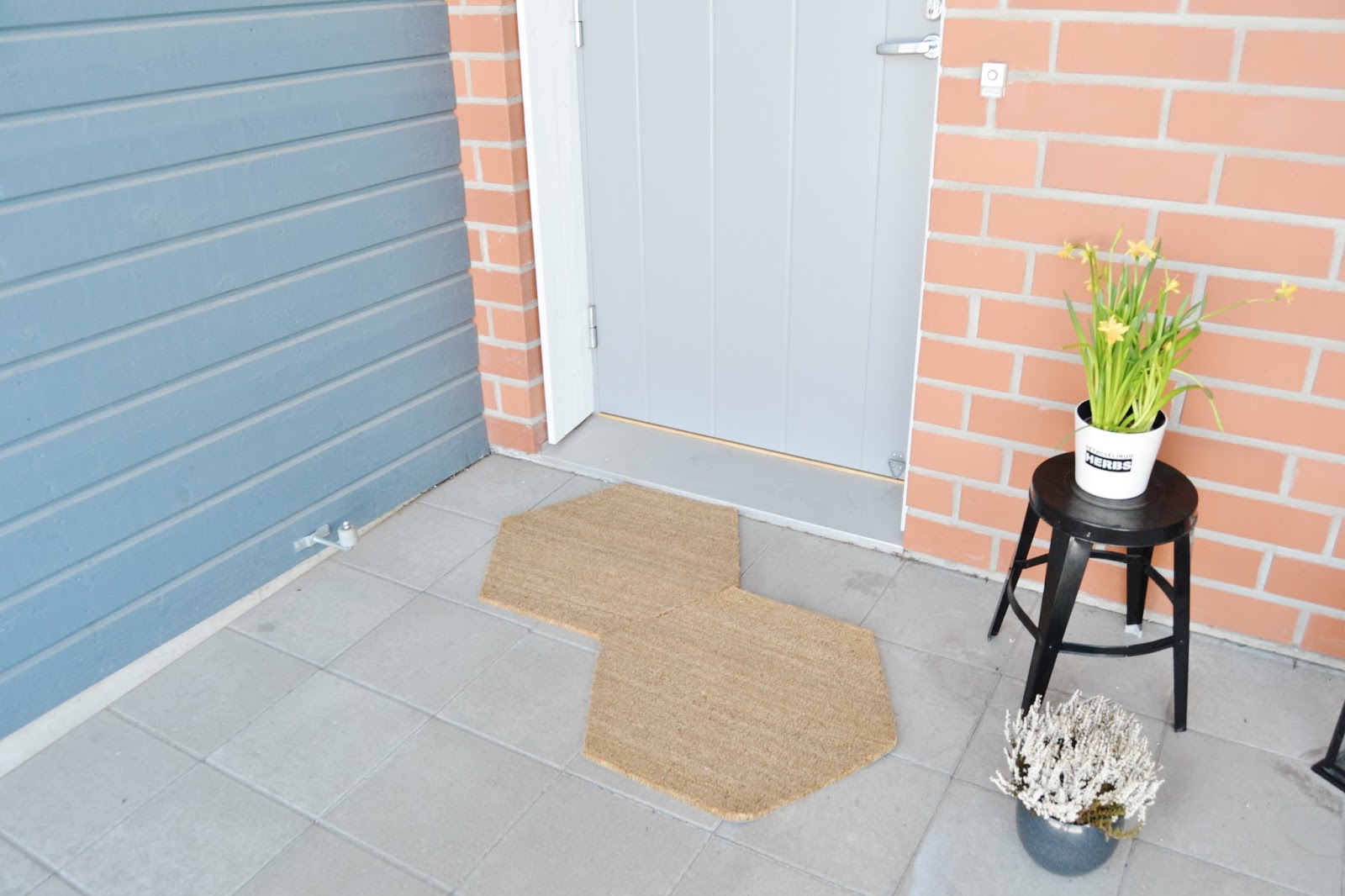 Livialle: Etupihan entrausta