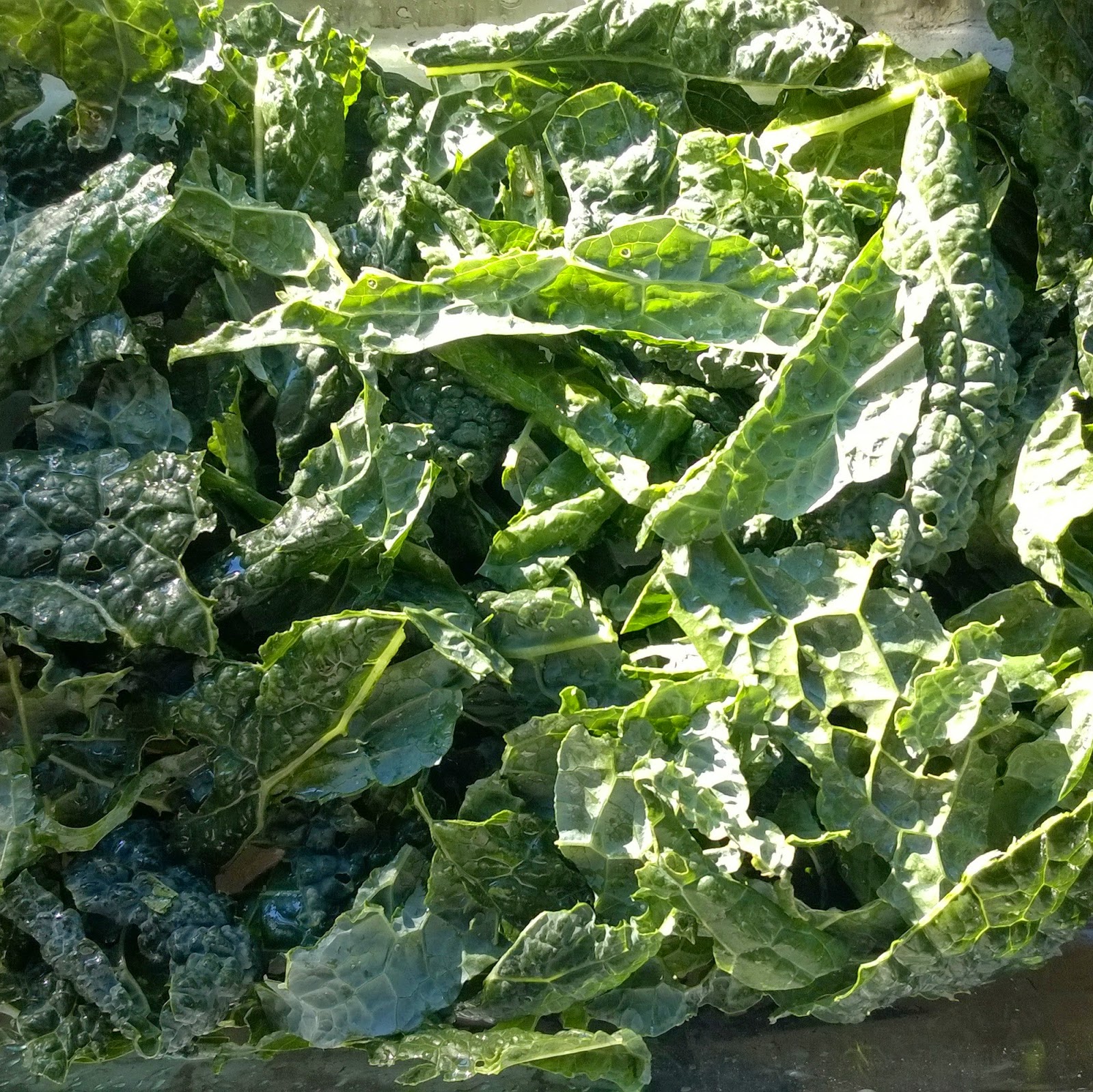 Fanny and Me: Roasted Kale and Butternut Squash with Heirloom Jacob's ...