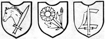 Neues Europa: The History of the 37th SS-Freiwilugen-Kavallerie ...