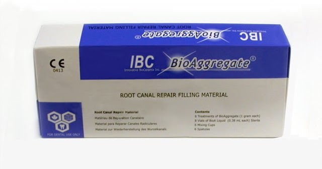 Iroot Bioaggregate Root Canal Filling Material Dentbear.com