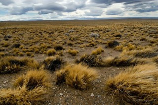 Geografía: Segundo Año: Imágenes de Biomas de América