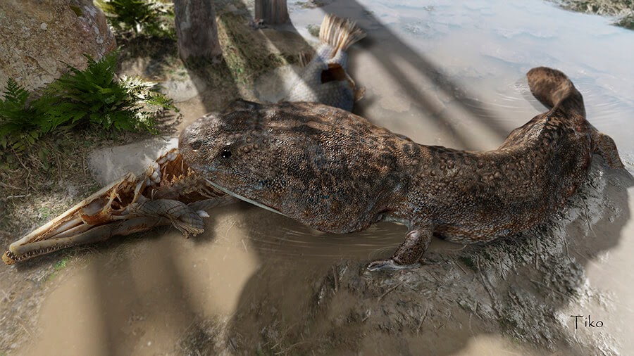 Mundo Pré-Histórico: Koolasuchus, o último temnospôndilo