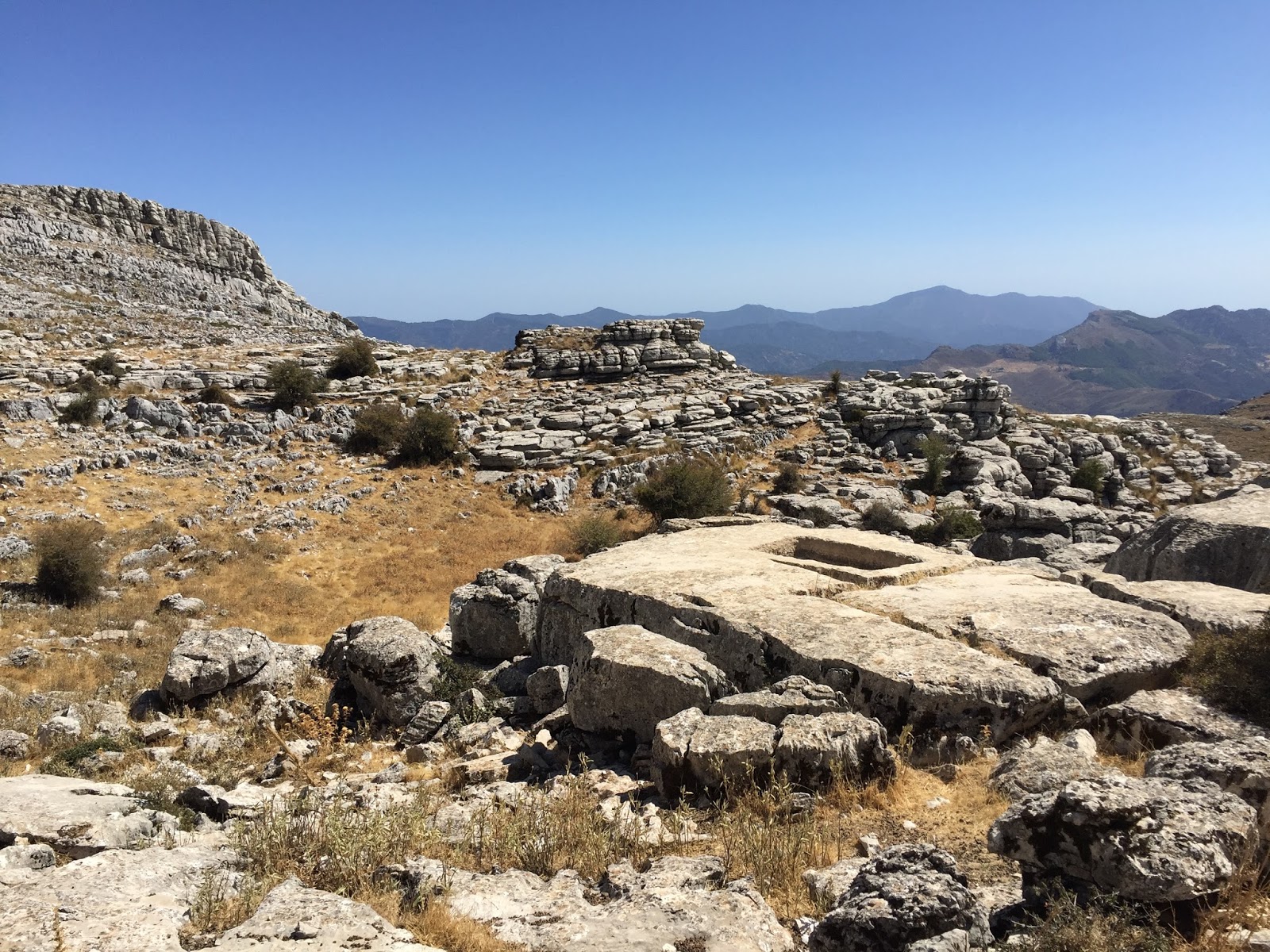 Cuaderno de Campo Payoyo: Las caras del Tunio (Benaoján)