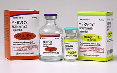 دليل الأدوية العالمي: Yervoy Vial دواء يرفوي