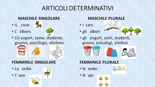 IPETYM N° 246 DR. AMADEO SABATTINI E.O.I. ITALIANO 4° Año A: Articolo ...