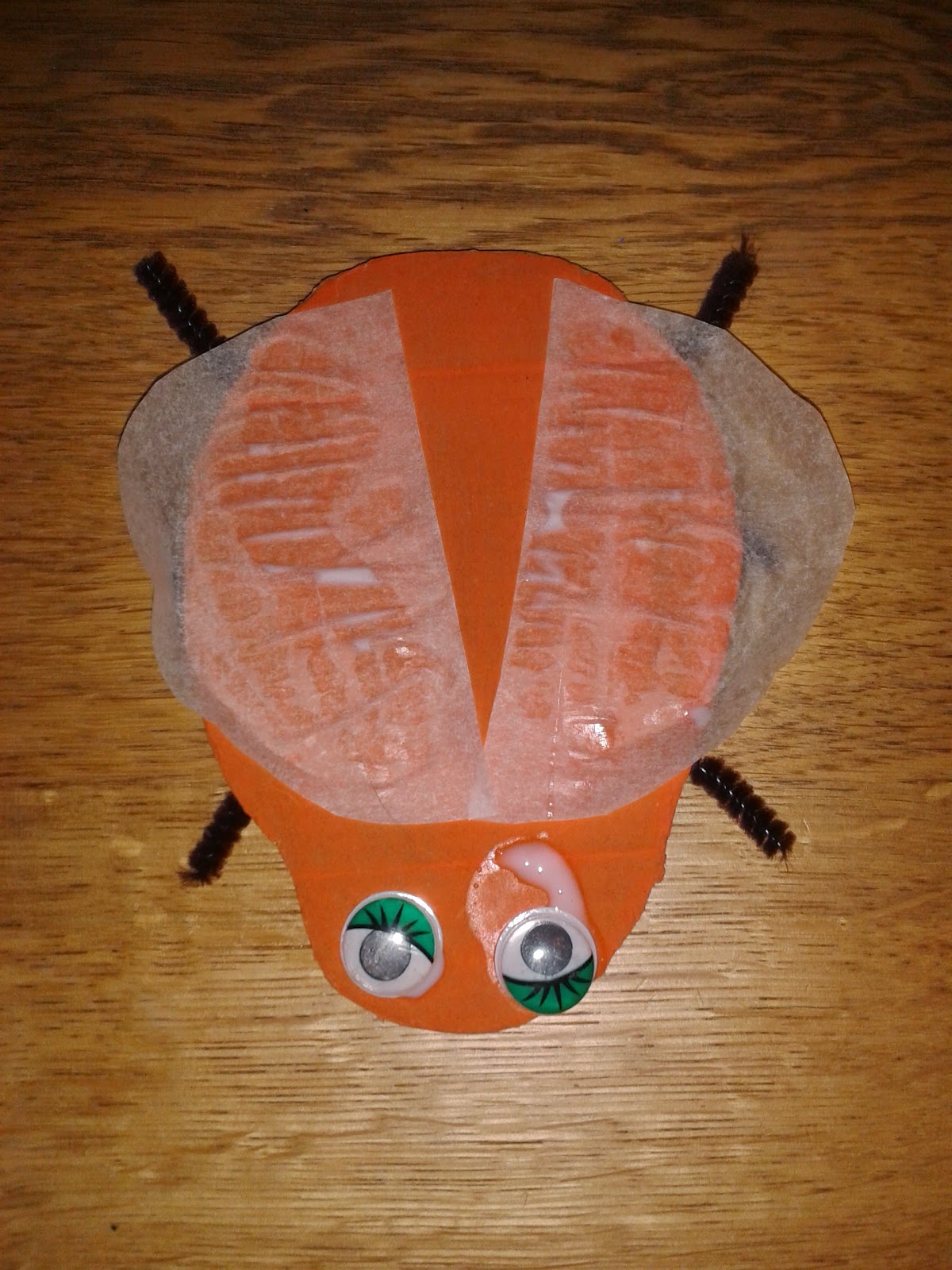 Home At The Heathers: Cardboard Bugs Craft