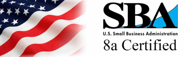 Learn Properly About 8a Business Program