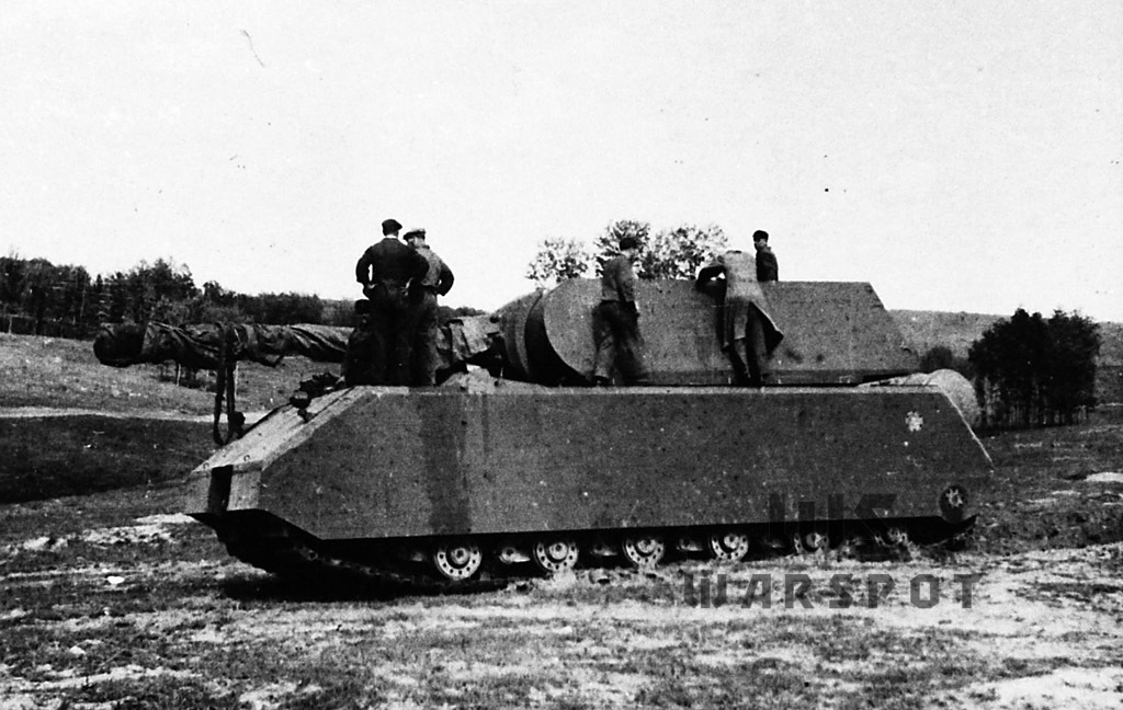 Tank Archives: Stillborn Maus