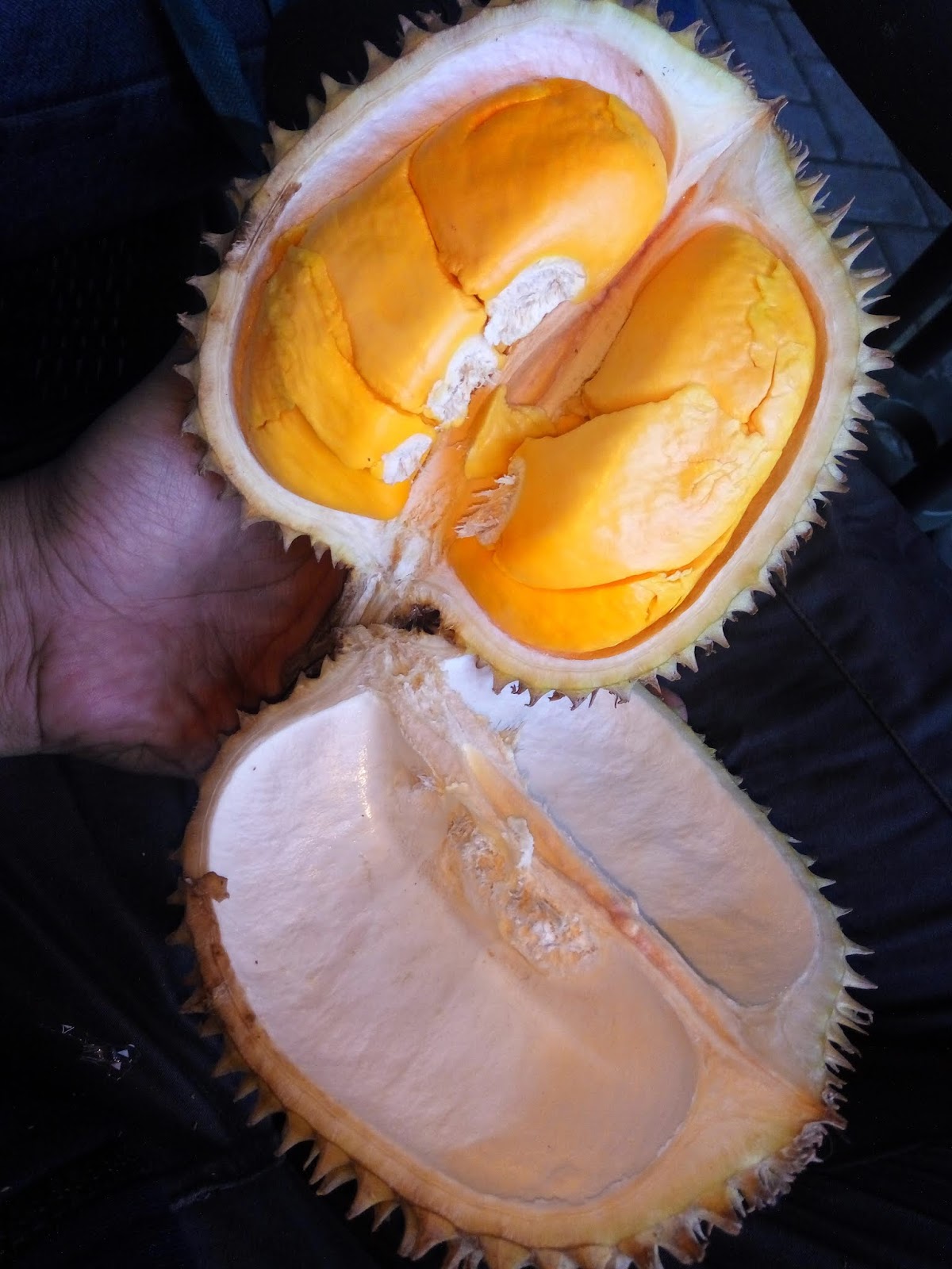 Buah Lai atau Pampakin si Kerabat Durian Khas Kalimantan | idblogpacker.blogspot.com