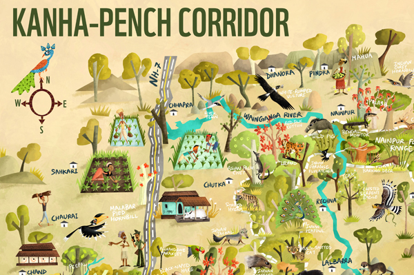 Green Humour: Kanha Pench Corridor- an Illustrated Map