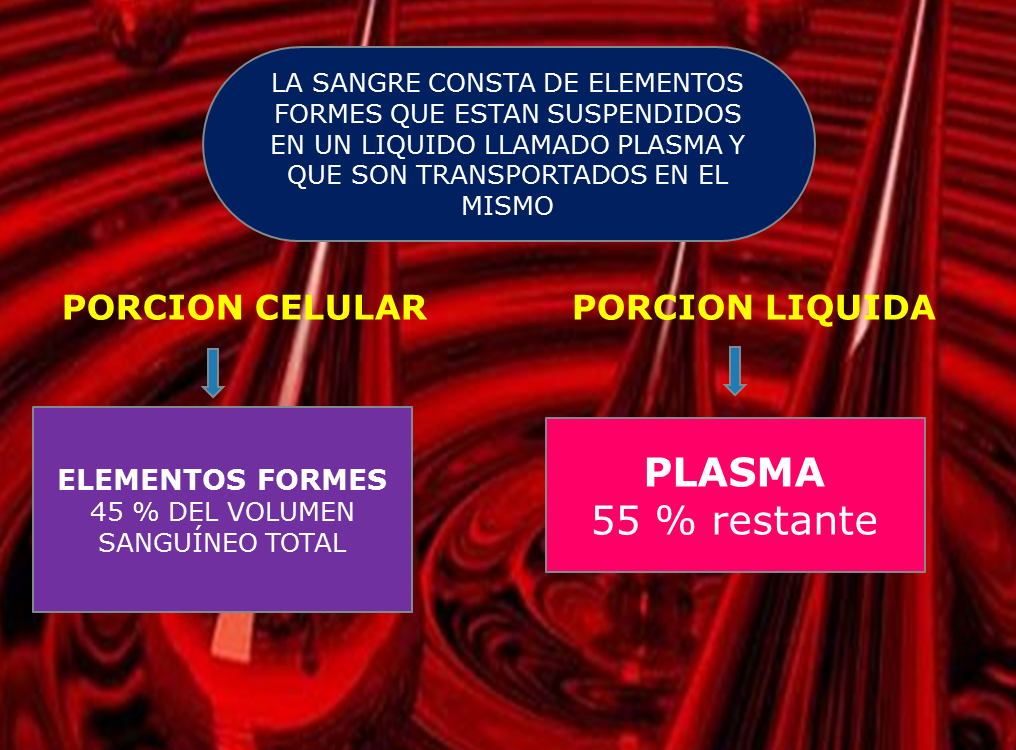FISIOLOGIA: SANGRE Y ELEMENTOS FORMES
