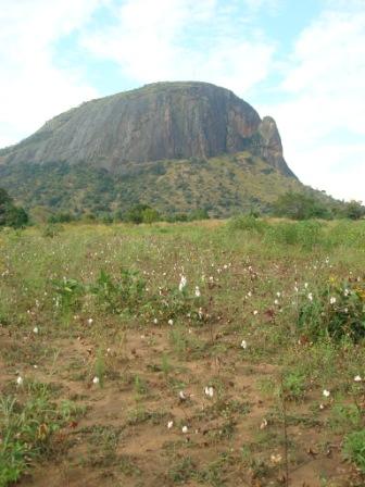 Kalongo - Another MBA in Action!