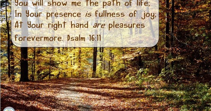 God Will Show You the Path | Bible Fun For Kids