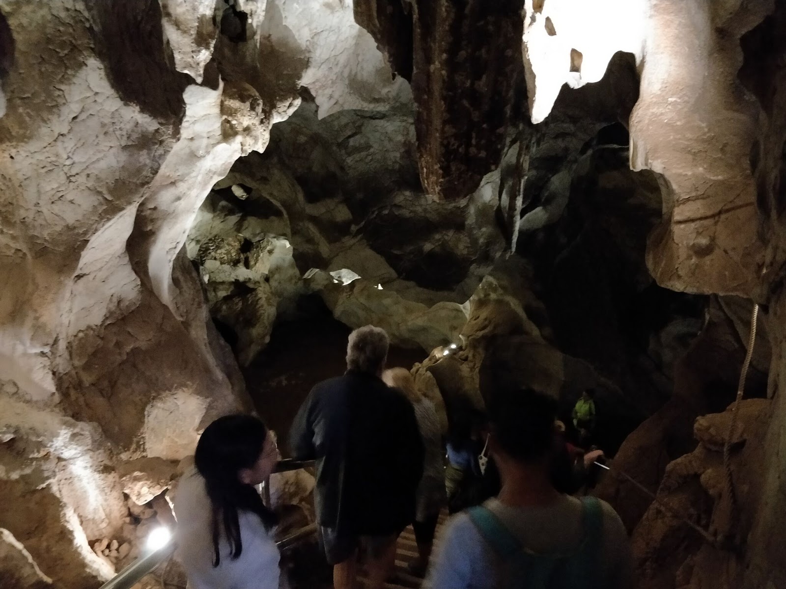 Wellingtoni koopad - Tassike Austraaliat