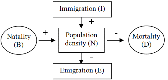 Organisms and Populations - Notes | Class 12 | Part 4: Population Growth