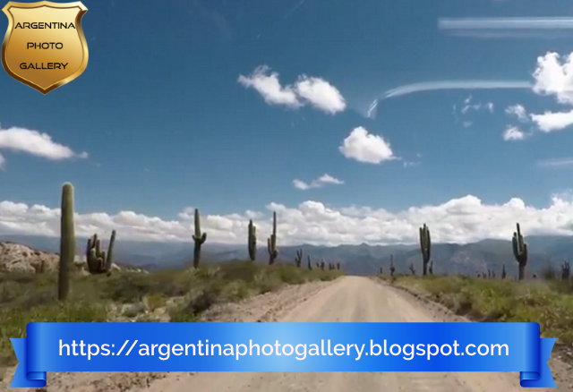 A virtual journey through the national parks of Argentina (#4): Los ...