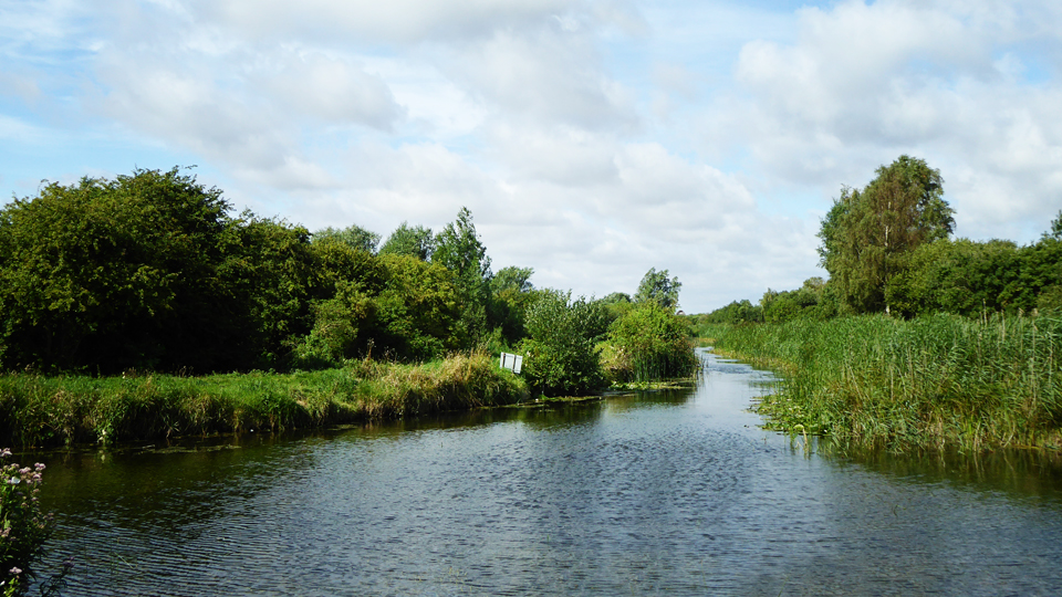 Walks, Wanderings, and Ramblings: Wicken Fen Figure of 8
