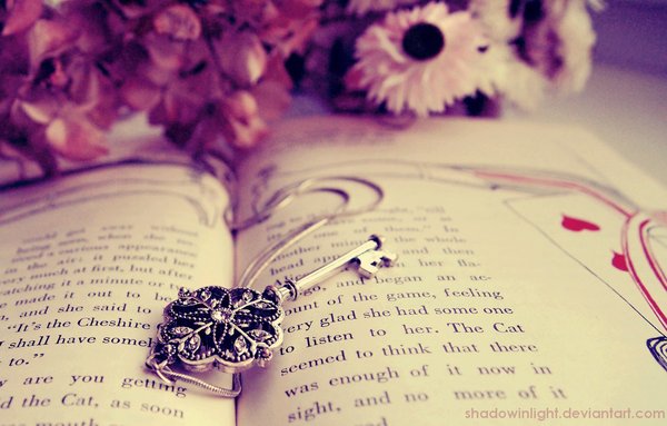 Imagini cu cărţi | StolenIMG