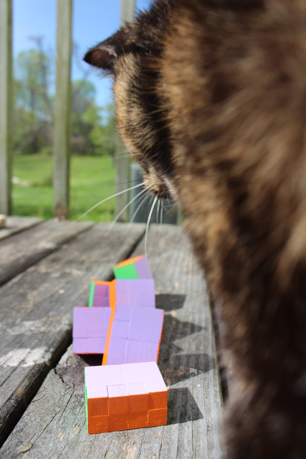 Craft Knife: A DIY Binomial Cube/Trinomial Cube Manipulative