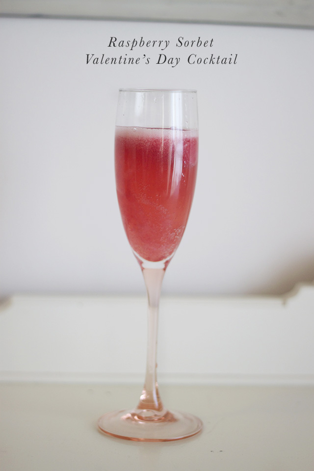Raspberry Sorbet Cocktail Recipe - Michaela Noelle Designs