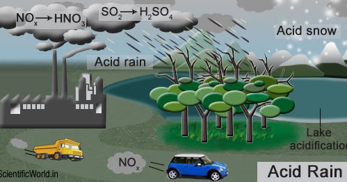 Acid Rain: Causes Effects and Solutions